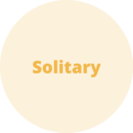 Free OCEAN Personality Test (5 Minutes) - Get Your Big Five