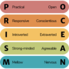 The PRISM-OCEAN® Personality Model